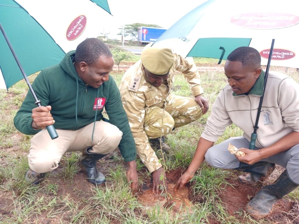 National Tree Planting Day in Kenya | Growing a Greener Future